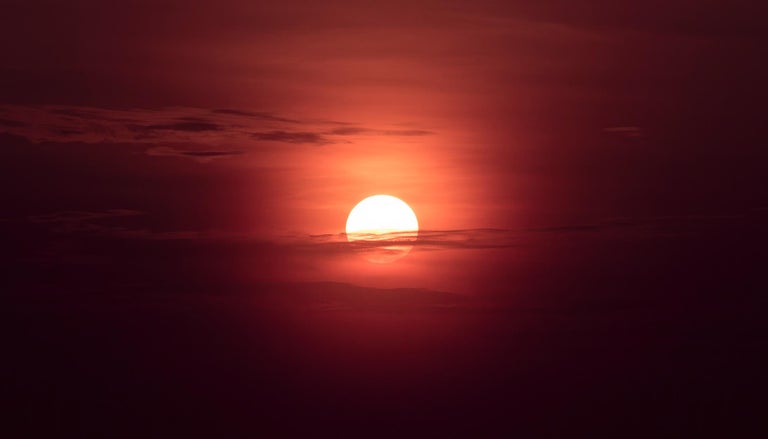 Julian Lennon - Sultan Sun For Sale at 1stDibs