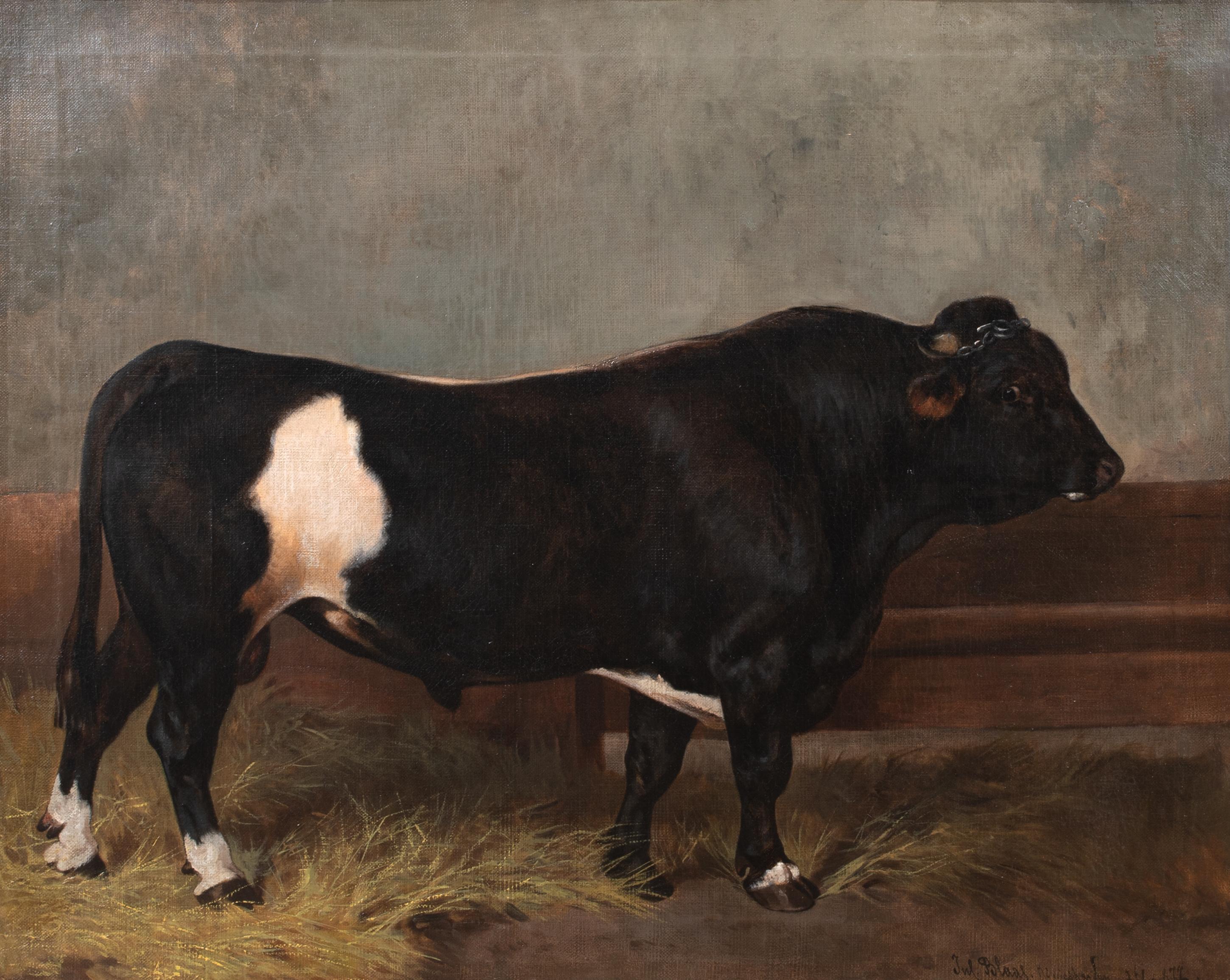 Julius von Blaas - Portrait Of Holstein Bull, 19th Century by Julius ...