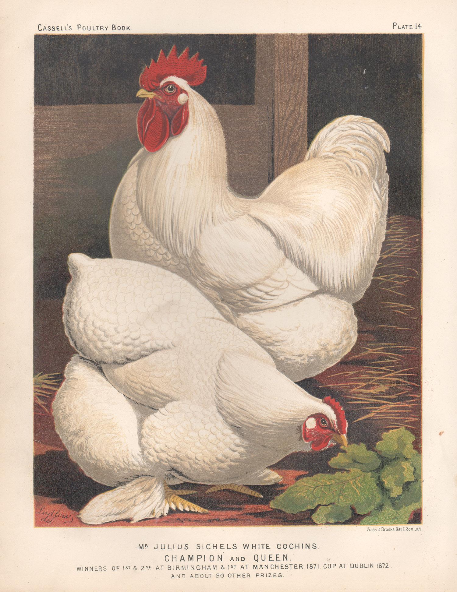 Antique Chromolithograph Prints - 1,118 For Sale on 1stDibs ...