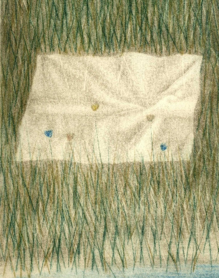 K.B. (Kyu-Baik ) Hwang - Two Handkerchiefs on the Grass (surreal image ...