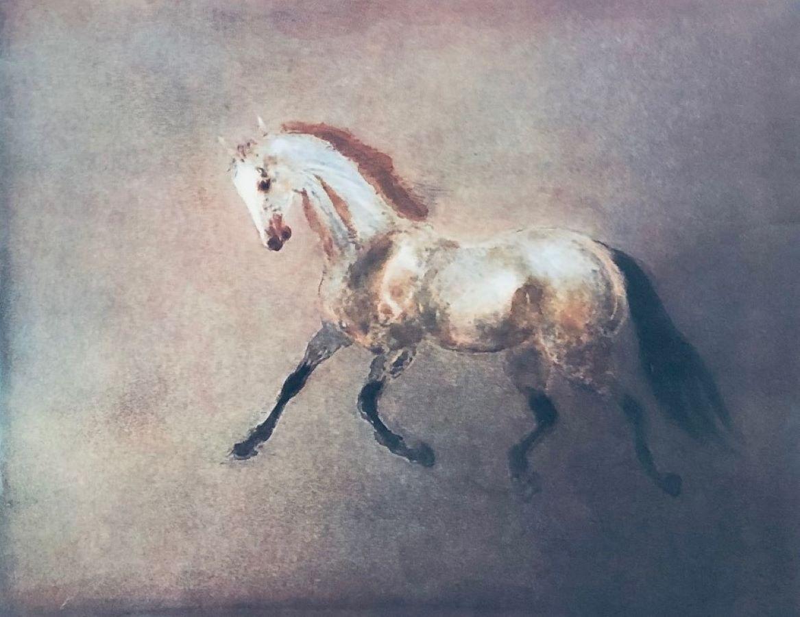 Kaiko Moti - Owl On Branch Print Edition 92/120 For Sale at 1stDibs