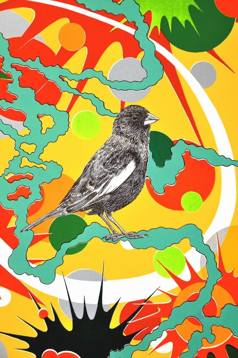 Kara Maria - At Sight of Sun (lark bunting) For Sale at 1stDibs