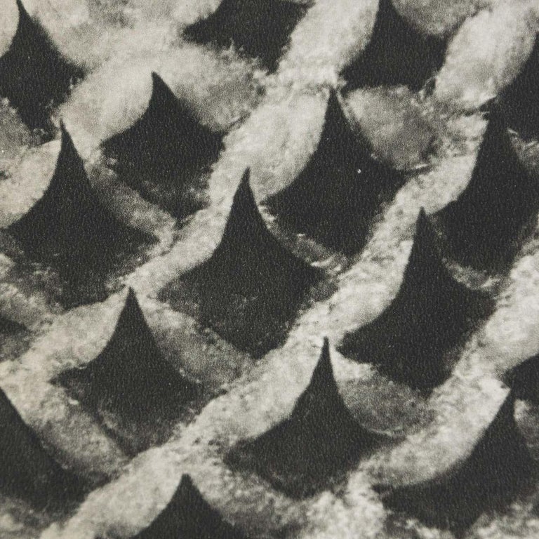 Karl Blossfeldt Black White Flower Photogravure Botanic Photography ...