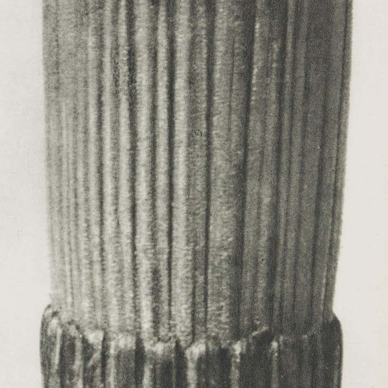 Karl Blossfeldt Black White Flower Photogravure Botanic Photography ...