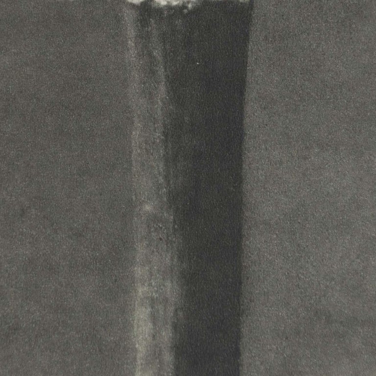 Karl Blossfeldt Black White Flower Photogravure Botanic Photography ...