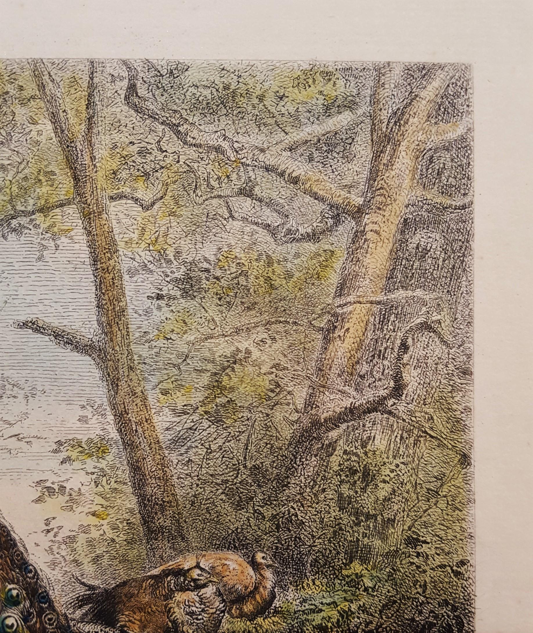 Karl Bodmer - Peacocks on a Bough at 1stDibs | annie lahn in with the old