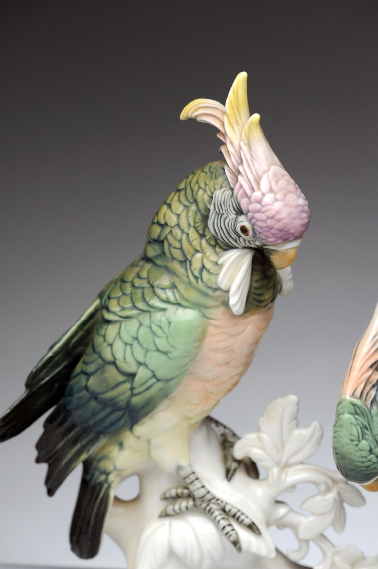 Karl Ens German Porcelain Cockatoo Parrot Bird Figurine at 1stDibs