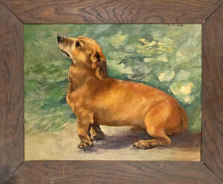 Karl Hans Taeger - Portrait of a Dachshund - Oil Painting by Karl Hans ...