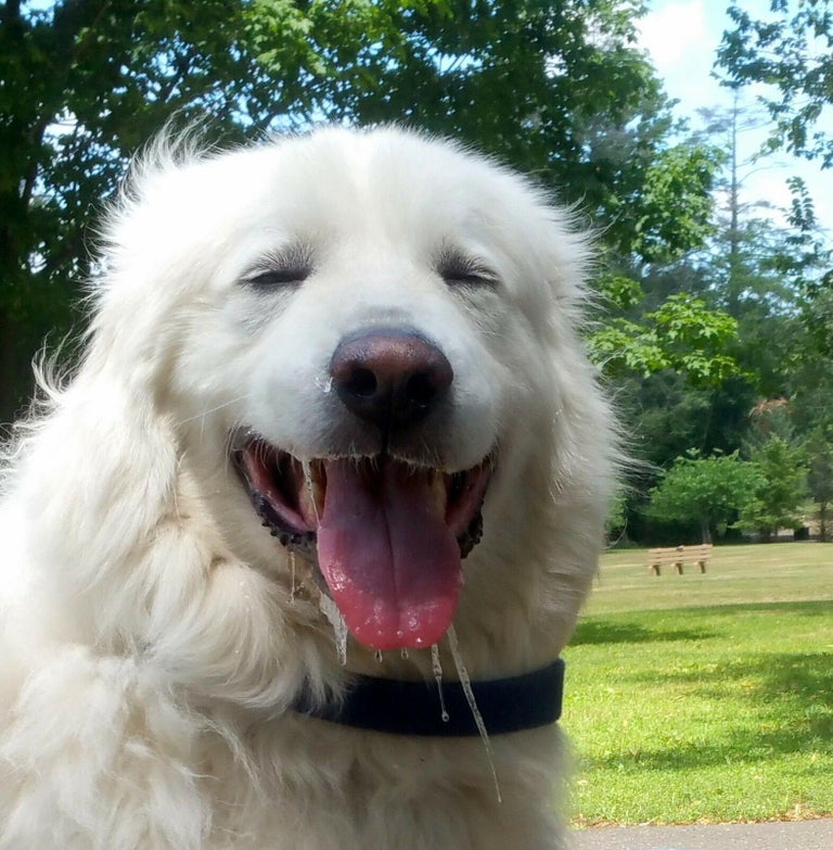 Karl Reidel Bronze Figure Sculpture German Mid-Century Signed, circa ...