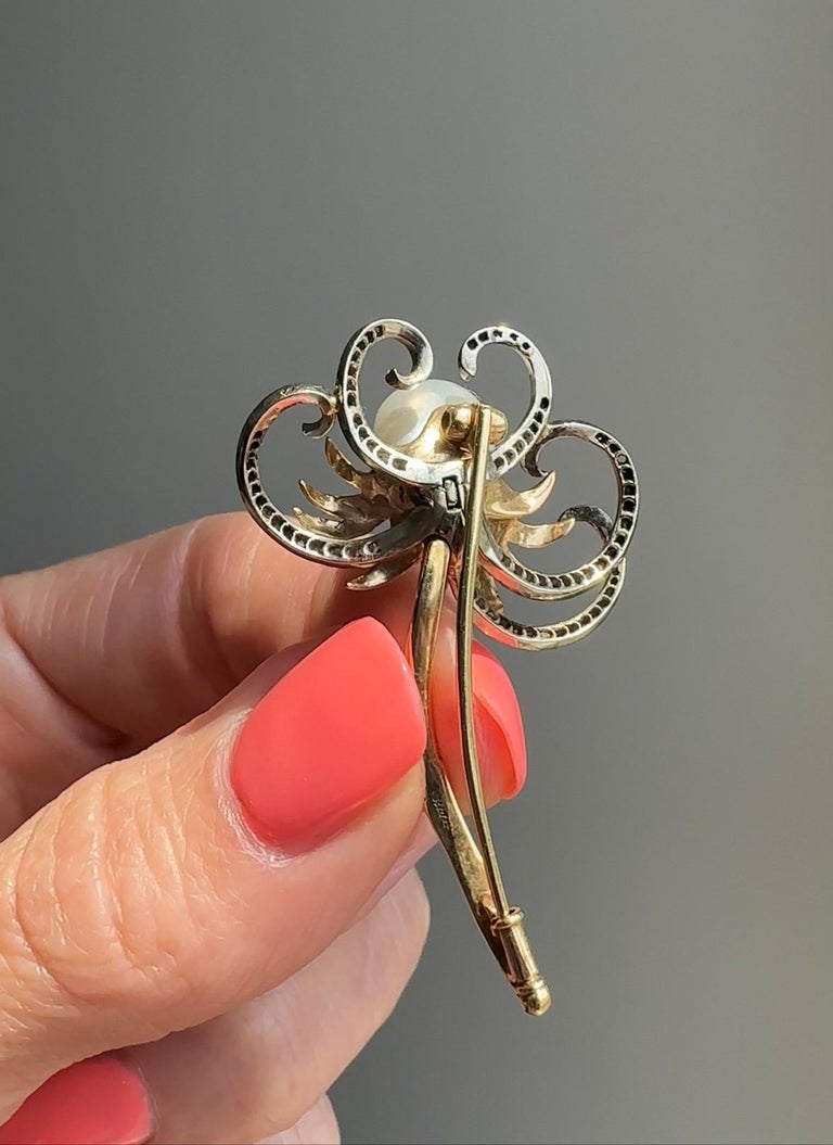 Karl Rothmuller Art Nouveau Diamond and Natural Pearl Chrysanthemum ...