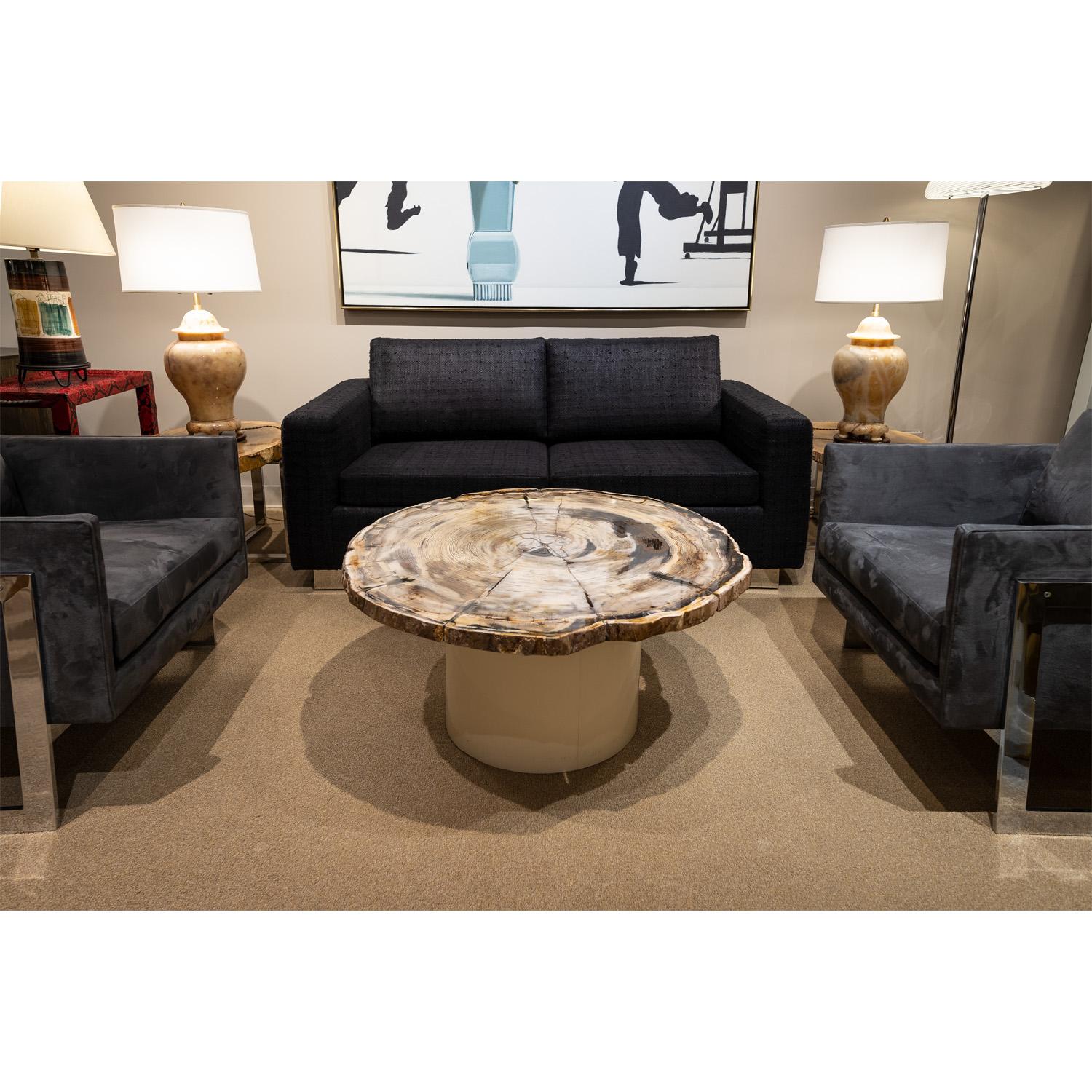 Karl Springer Exceptional Petrified Wood Coffee Table, 1980s at 1stDibs