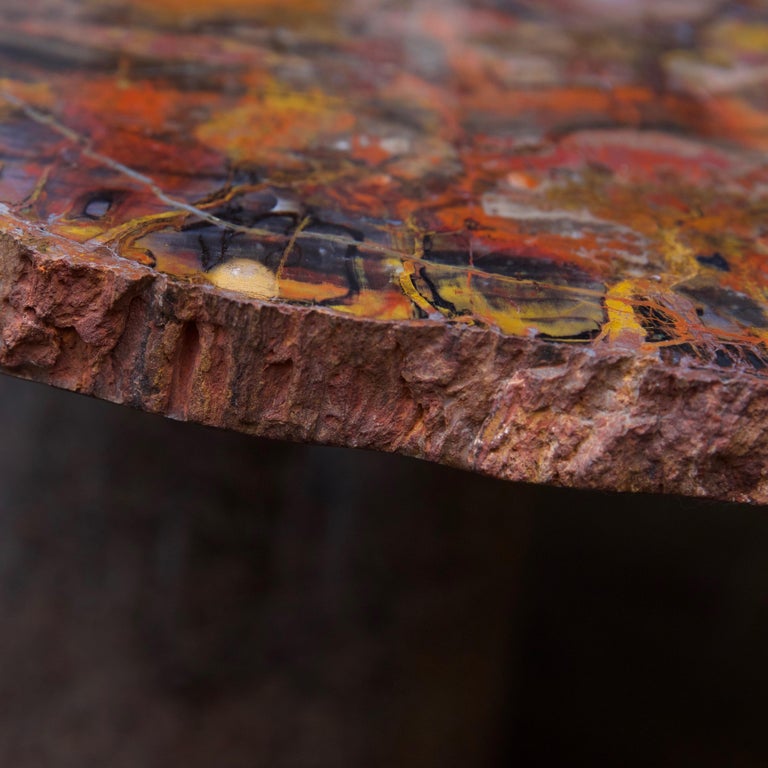 Petrified Wood Table Top with Married Granite Base For Sale at 1stdibs