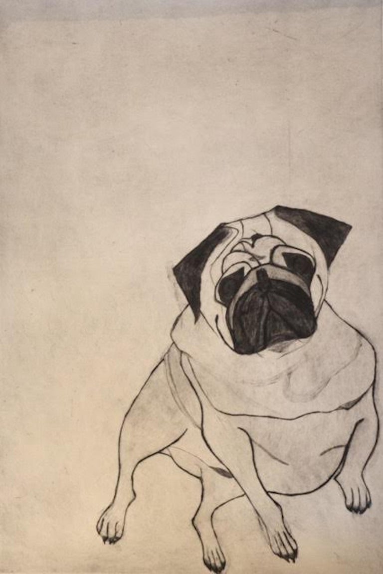 Kate Boxer - Fred, dog art, limited edition art, affordable art For ...