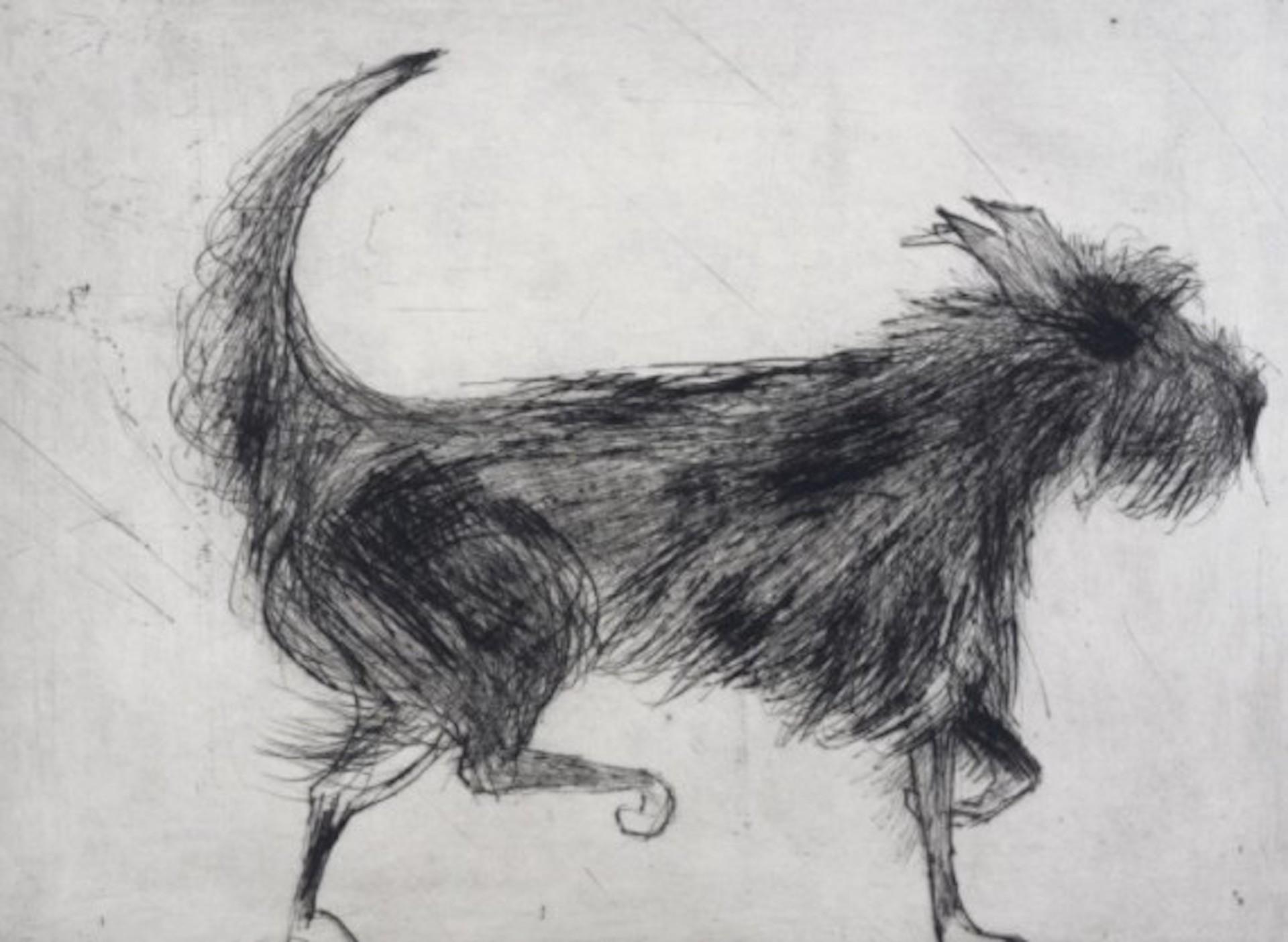 Masse - King Louis XIV of France by Jean Baptiste Masse - Engraving ...