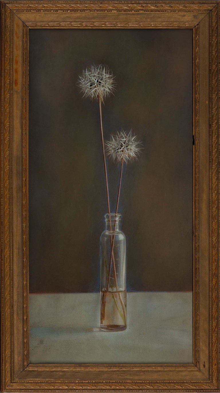 Kate Breakey - Agoseris in a Bottle For Sale at 1stDibs