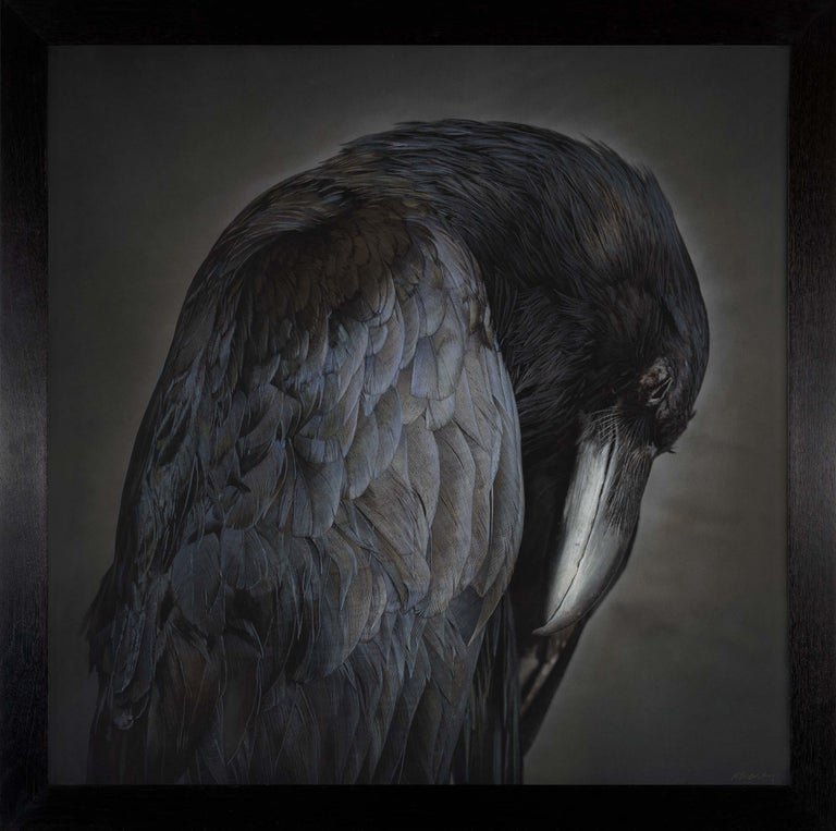 Kate Breakey - Portrait of a Raven For Sale at 1stDibs