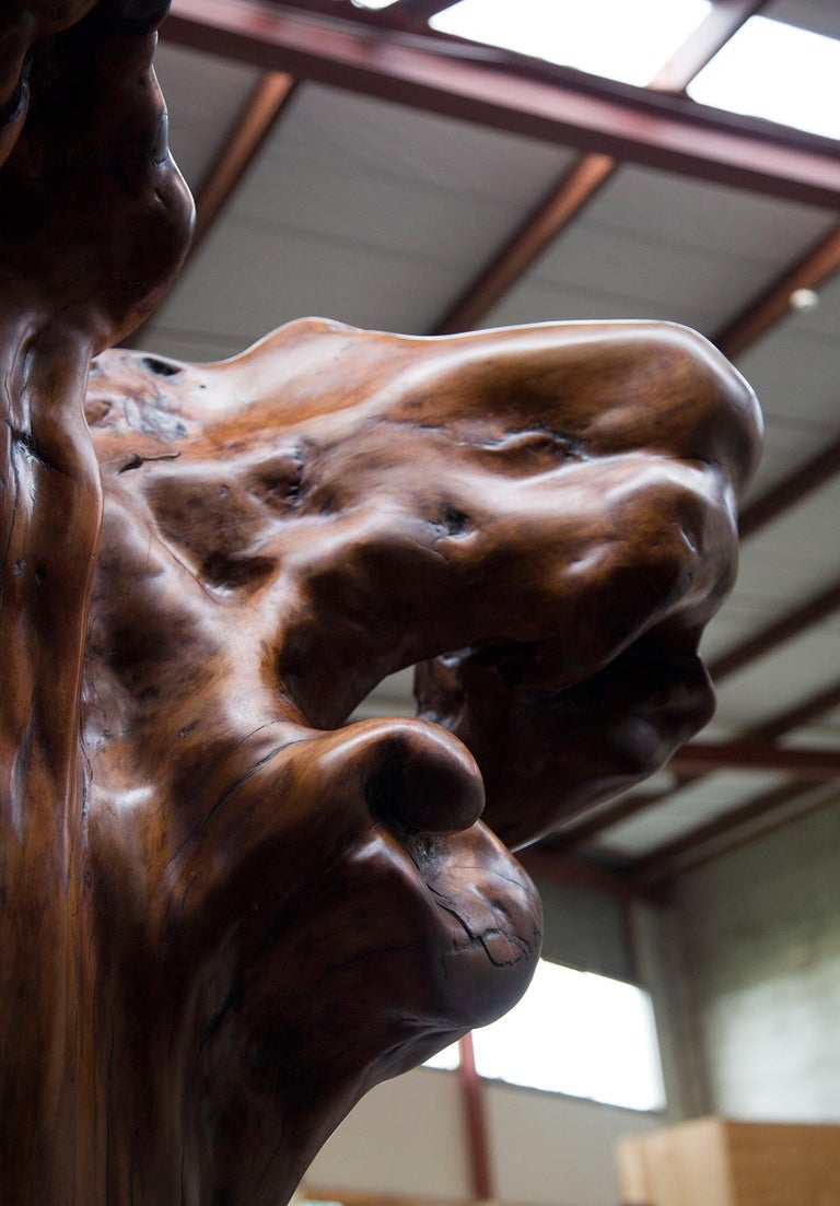 Kauri Sculpture in Solid Ancient Kauri Wood For Sale at 1stDibs