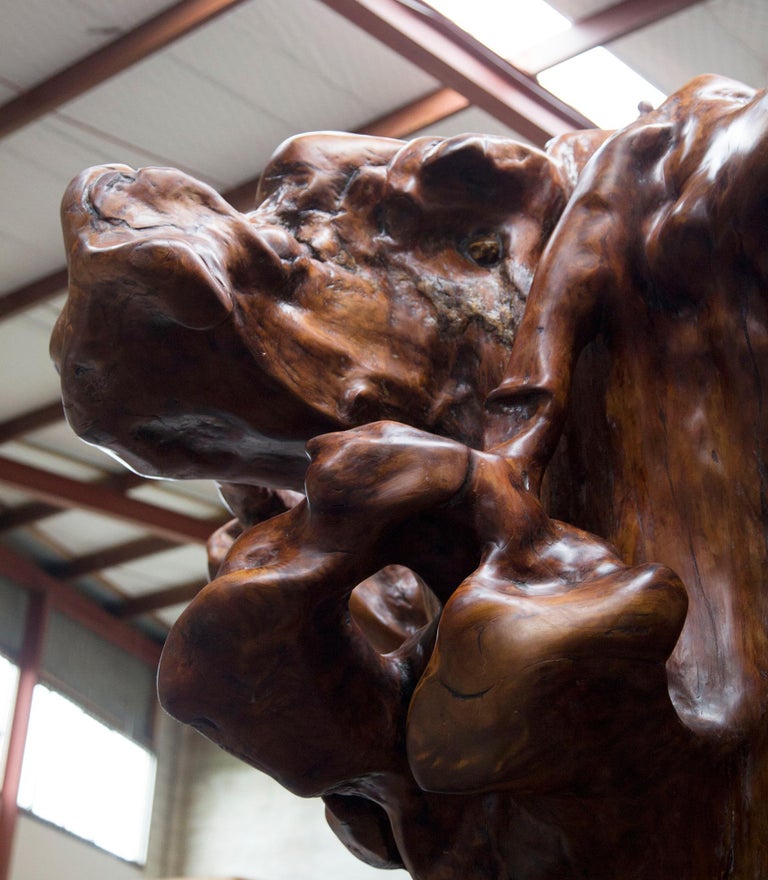 Kauri Sculpture in Solid Ancient Kauri Wood For Sale at 1stDibs