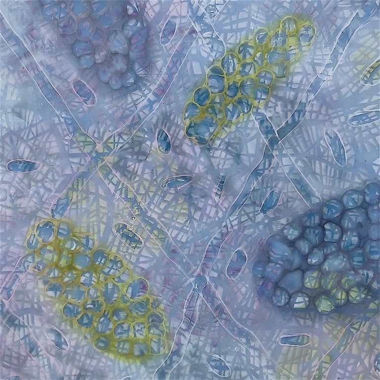 Kay Hartung - "Bio Patterns 8", encaustic, pastel, abstract ...