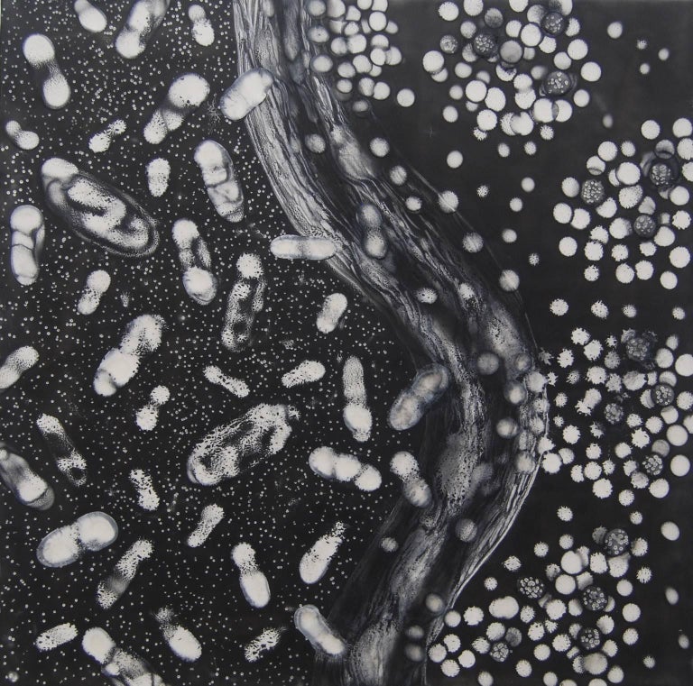 Kay Hartung - "Cells Alive 4", encaustic painting, graphite, migration ...