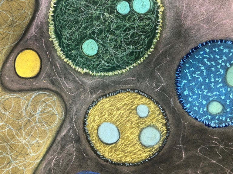 Kay Hartung - "Macrovision 10", pastel, drawing, microscopic, abstract ...