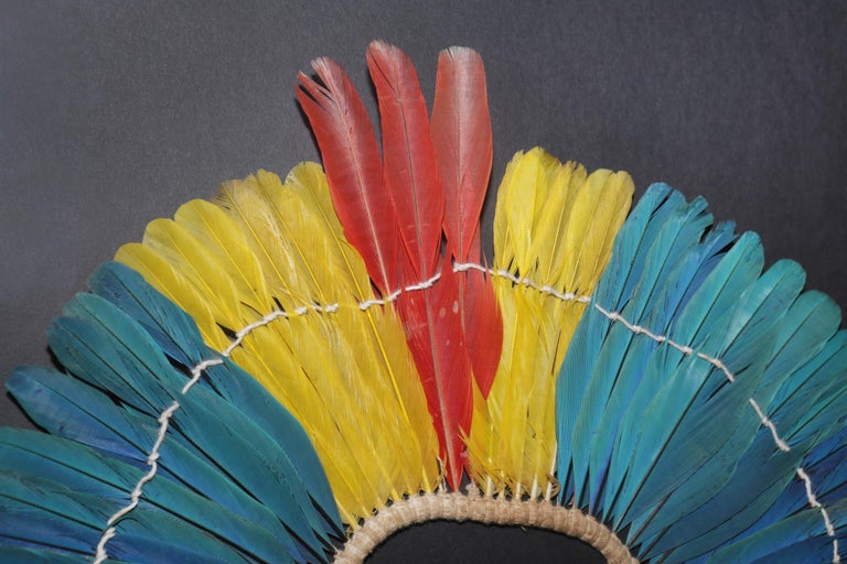 Kayapo 1 Headdress with Natural Feathers at 1stDibs | kayapo headdress