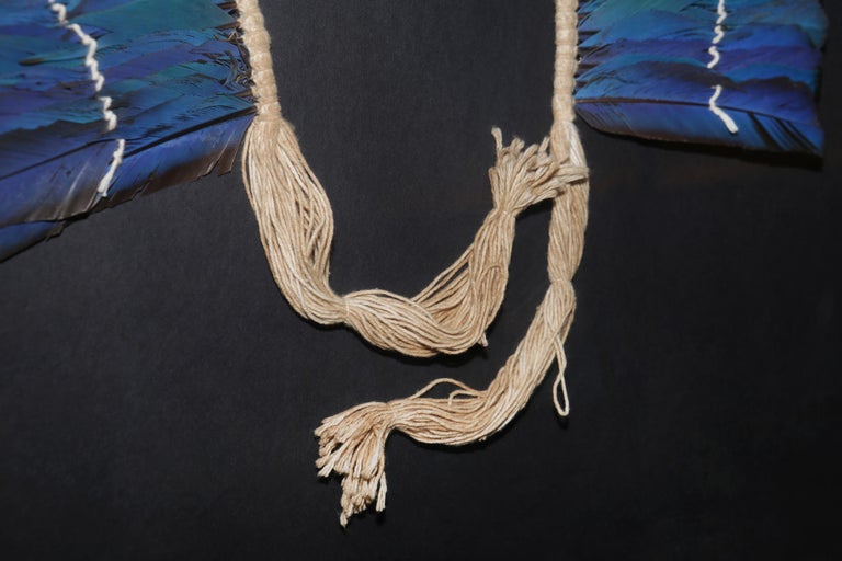 Kayapo 1 Headdress with Natural Feathers at 1stDibs | kayapo headdress