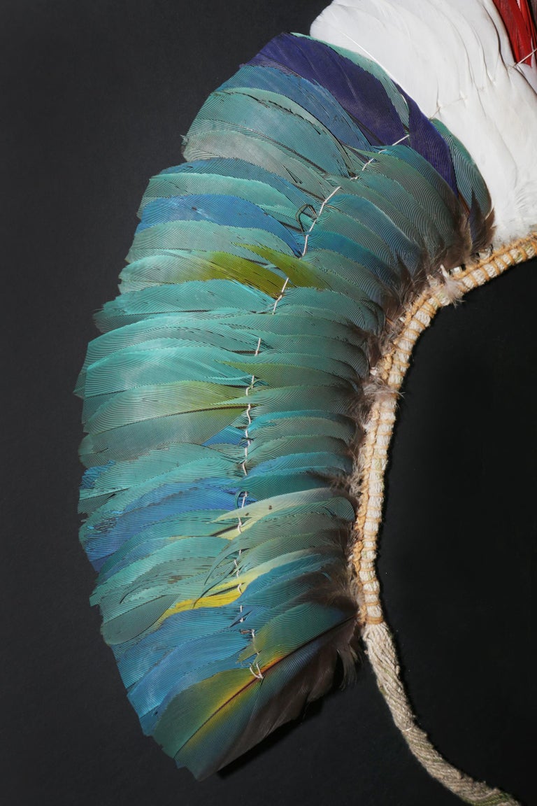 Kayapo 3 Headdress with Natural Feathers at 1stDibs