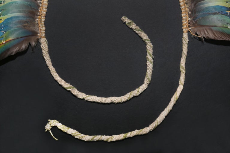 Kayapo 3 Headdress with Natural Feathers at 1stDibs