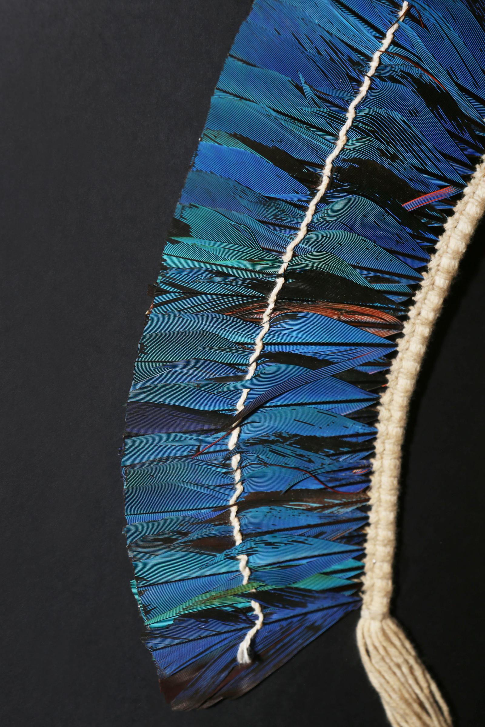 Kayapo 4 Headdress with Natural Feathers at 1stDibs