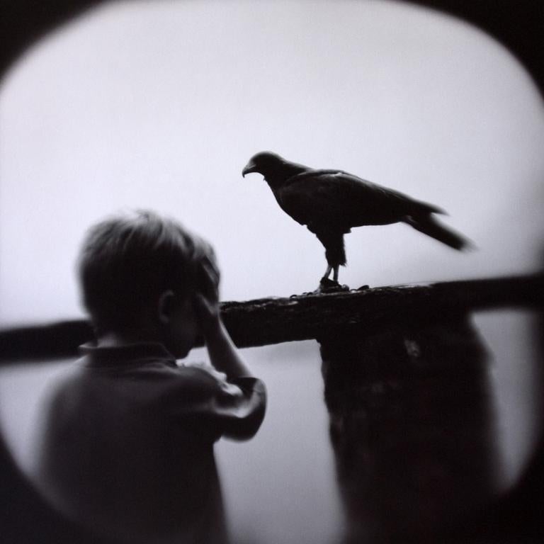 Keith Carter b.1948 - Boy and Hawk For Sale at 1stDibs