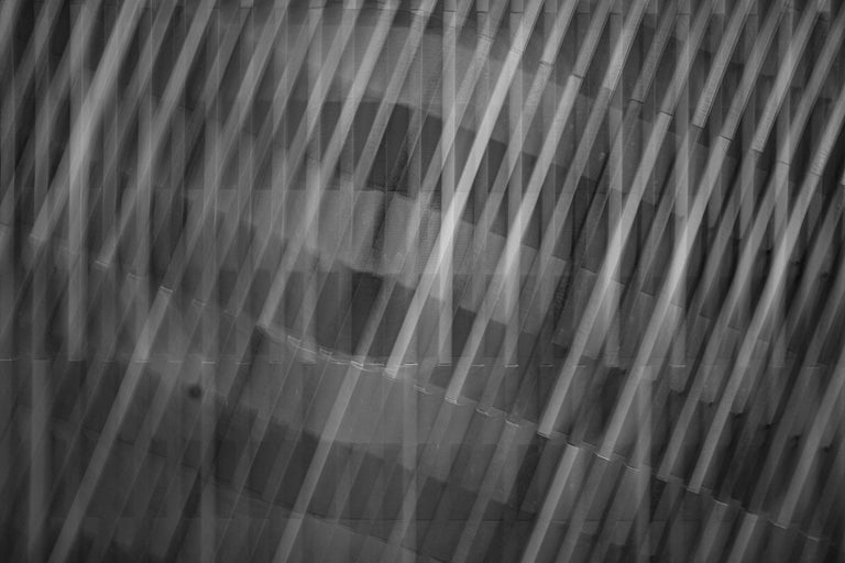 Keith Ladzinski - Incongruent For Sale at 1stDibs