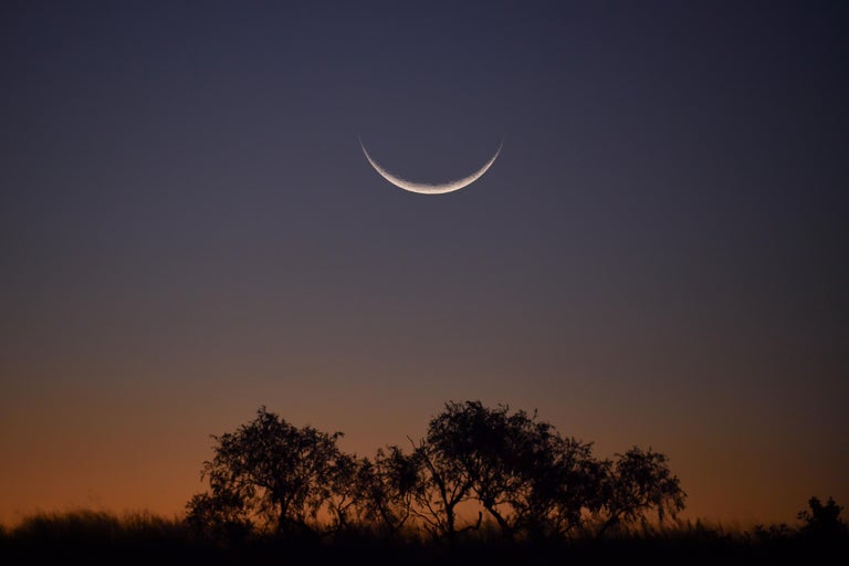 Keith Ladzinski - Kalahari Smile For Sale at 1stDibs