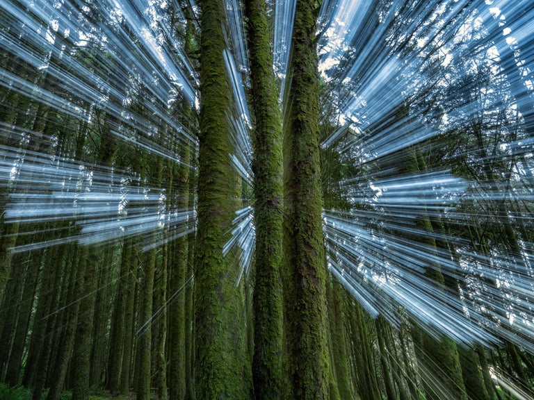 Keith Ladzinski - Oxygenate For Sale at 1stDibs