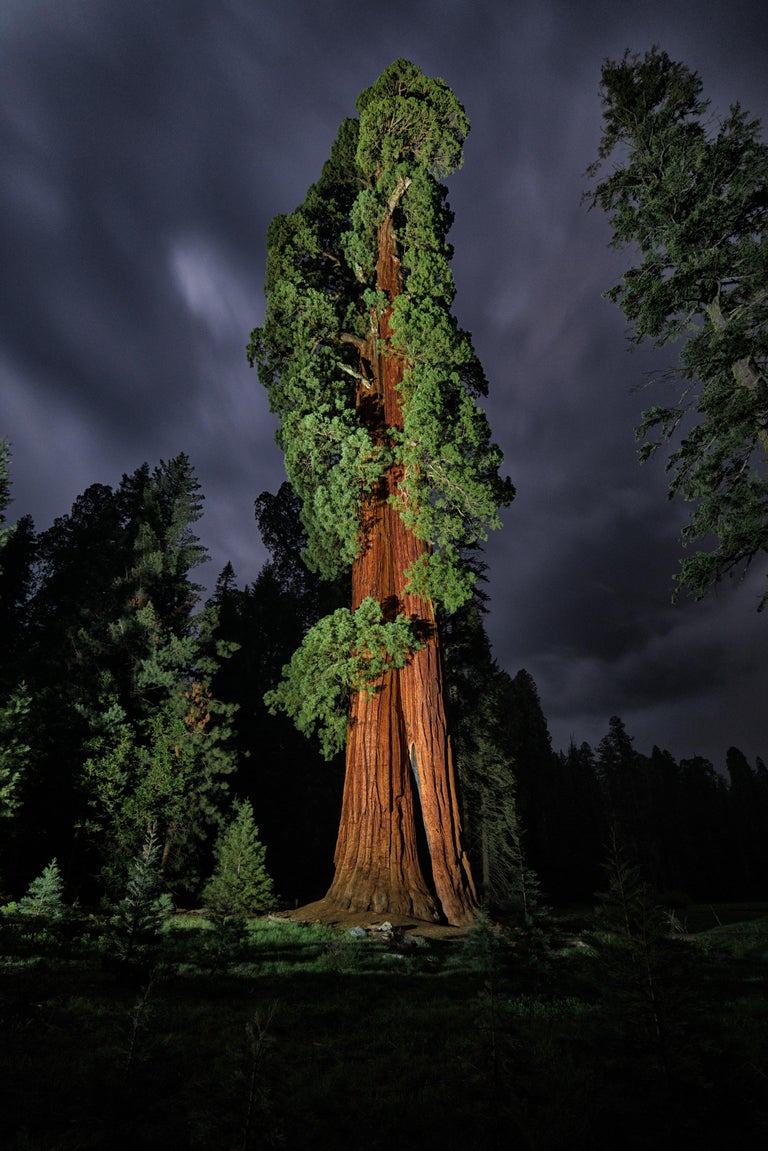 Keith Ladzinski - Zen Zen For Sale at 1stDibs