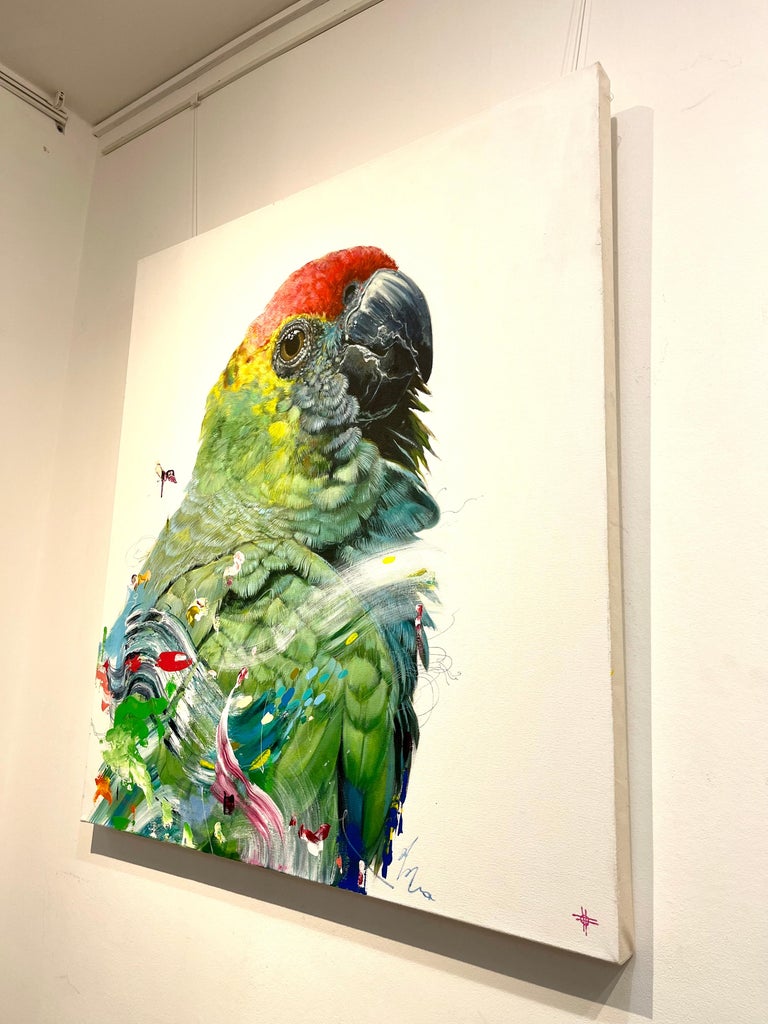Keng Wai Lee - Arlecchino - contemporary, animal, bird, colourful ...