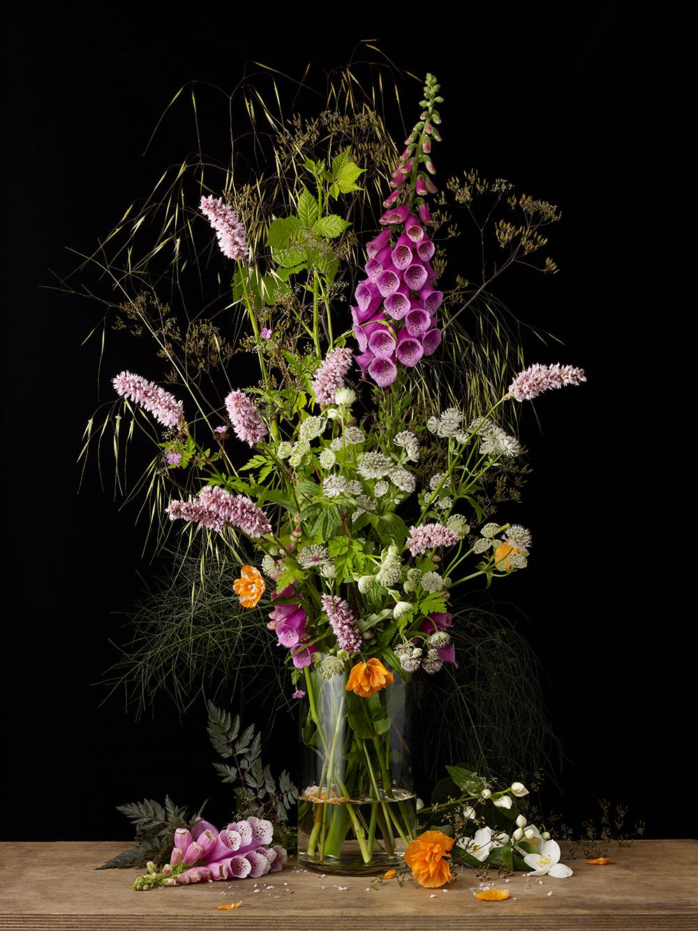 Kevin Dutton - Mixed Summer Plants #2, Botanical photographic print ...