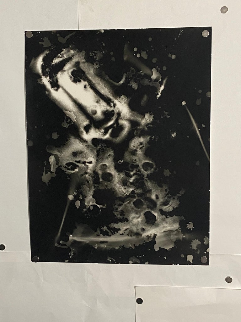 Kimberly Schneider Photography - A Glimpse of Sunlight - contemporary ...