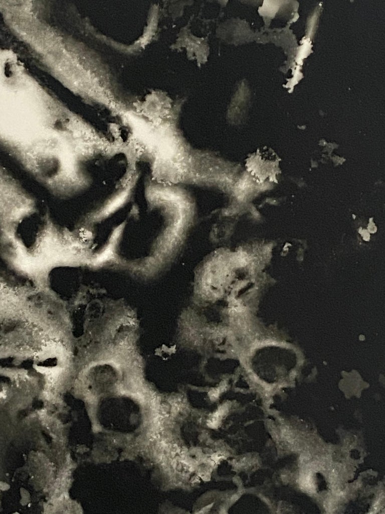 Kimberly Schneider Photography - A Glimpse of Sunlight - contemporary ...