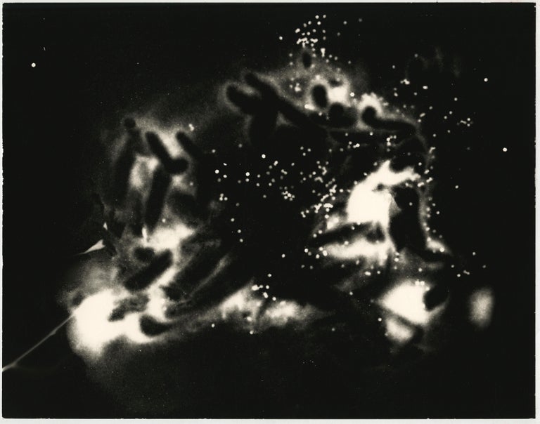 Kimberly Schneider Photography - Applause - alt process black and white ...