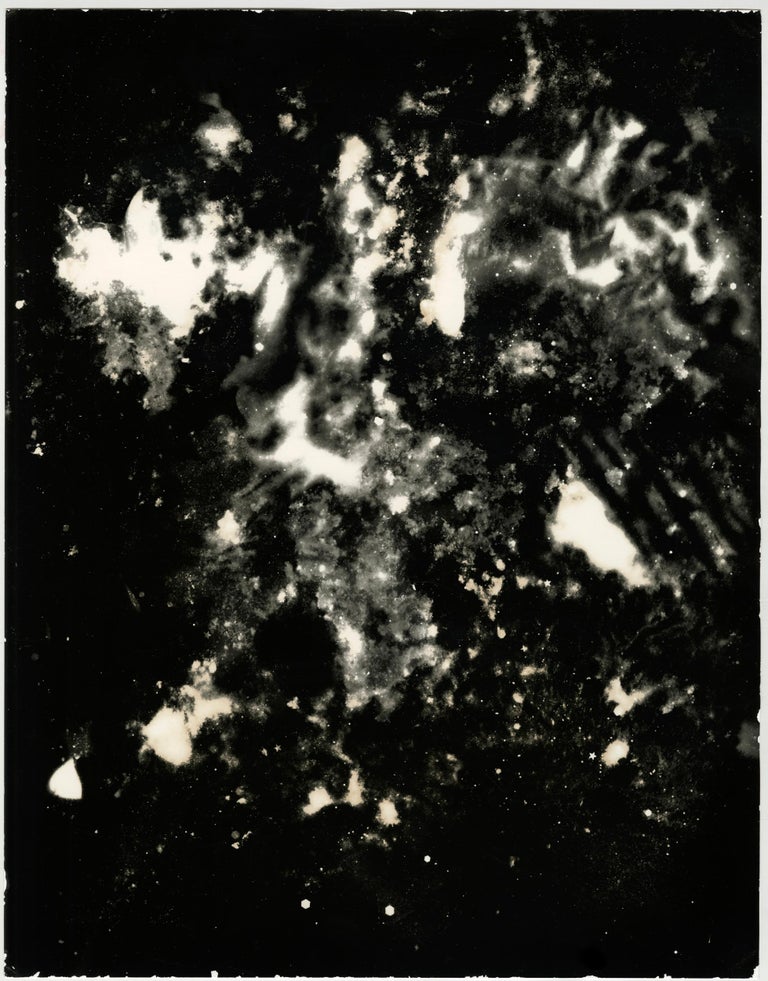 Kimberly Schneider Photography - Devil's Breath - unique alt process ...