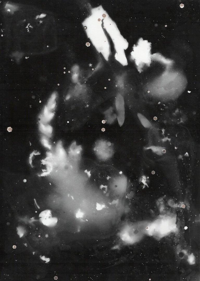 Kimberly Schneider Photography - Feather Dust (working title ...
