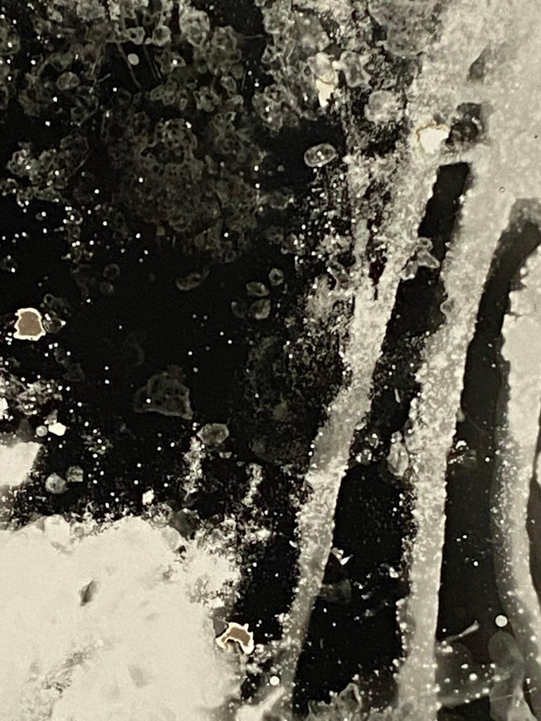 Kimberly Schneider Photography - High Tide - unique alt process ...