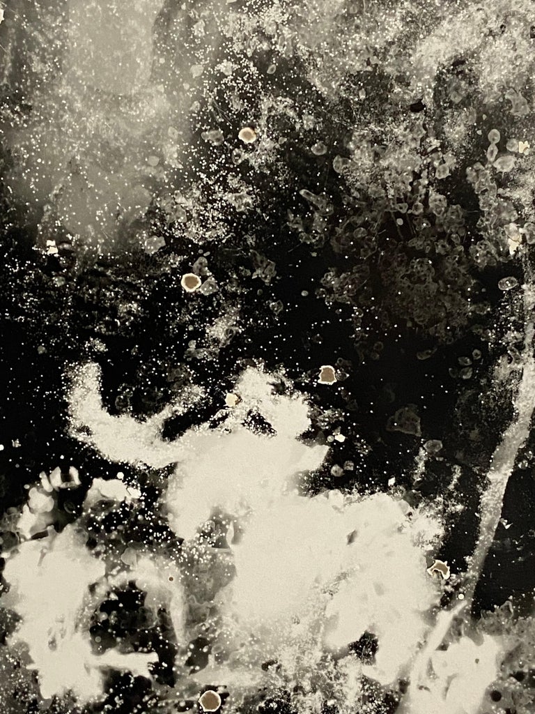 Kimberly Schneider Photography - High Tide - unique alt process ...