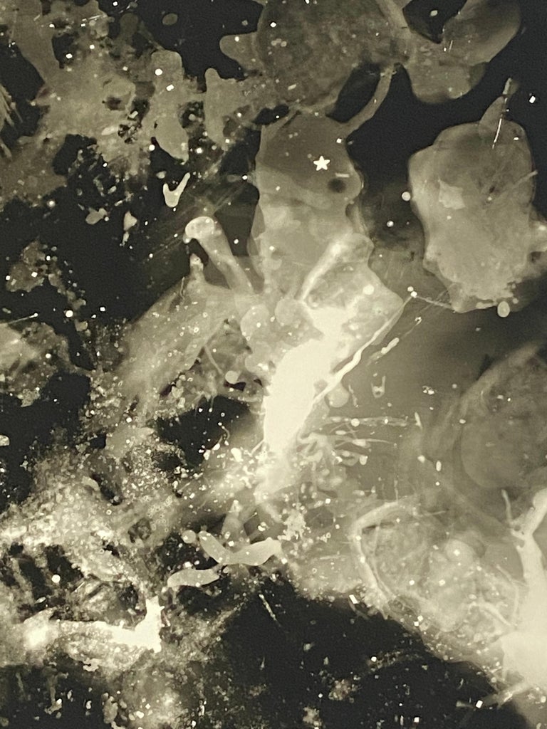 Kimberly Schneider Photography - Interior of a Funnel Cloud- abstract ...