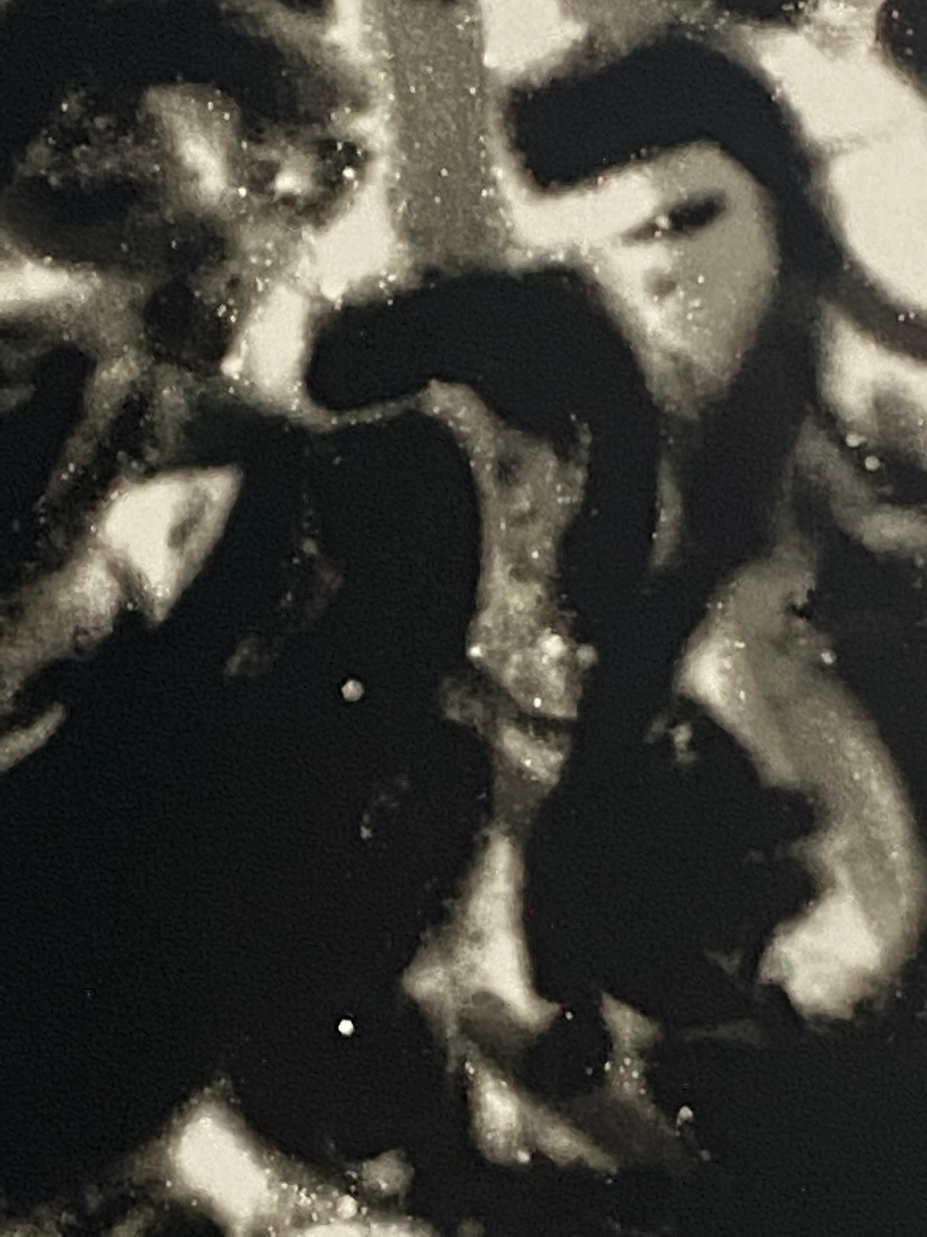 Kimberly Schneider Photography - Metamorphosis (Self-Portrait ...