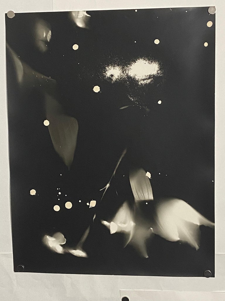 Kimberly Schneider Photography - Moonlight - silver gelatin black and ...