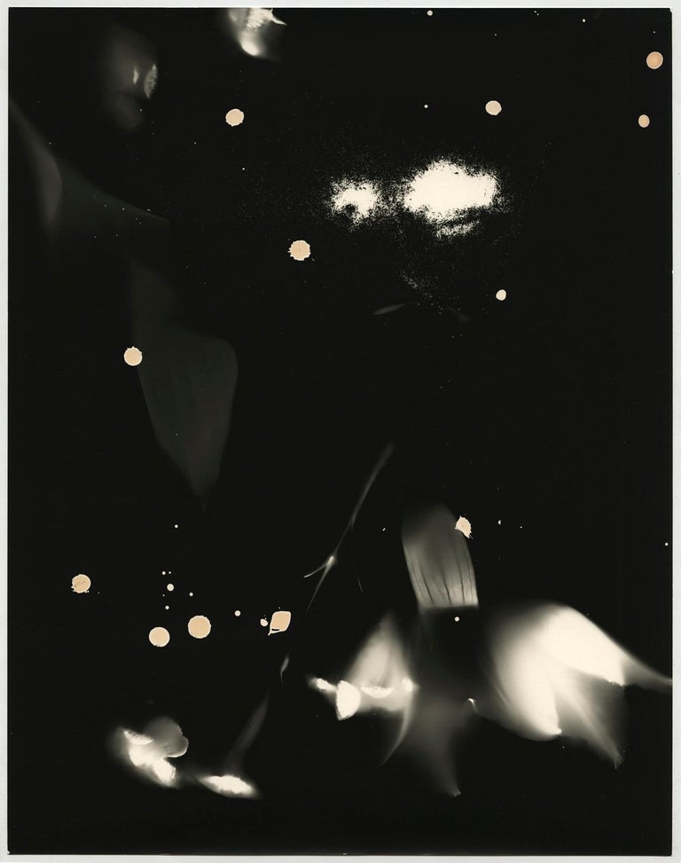 Kimberly Schneider Photography - Moonlight - unique alt process black ...