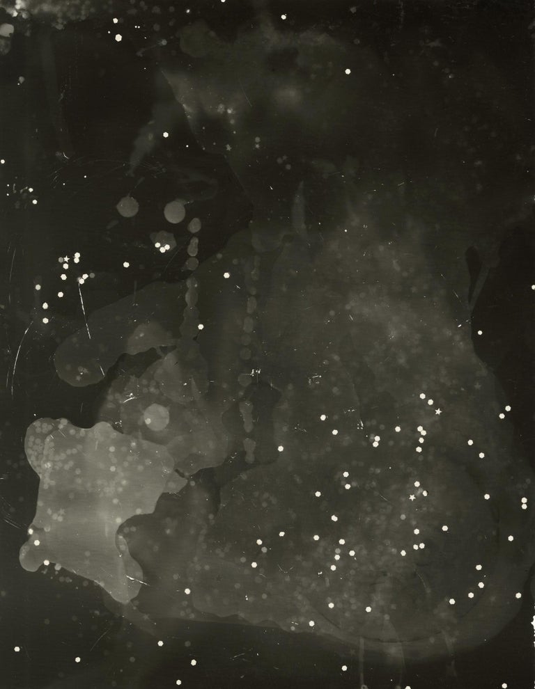 Kimberly Schneider Photography - Muted - unique silver gelatin abstract ...