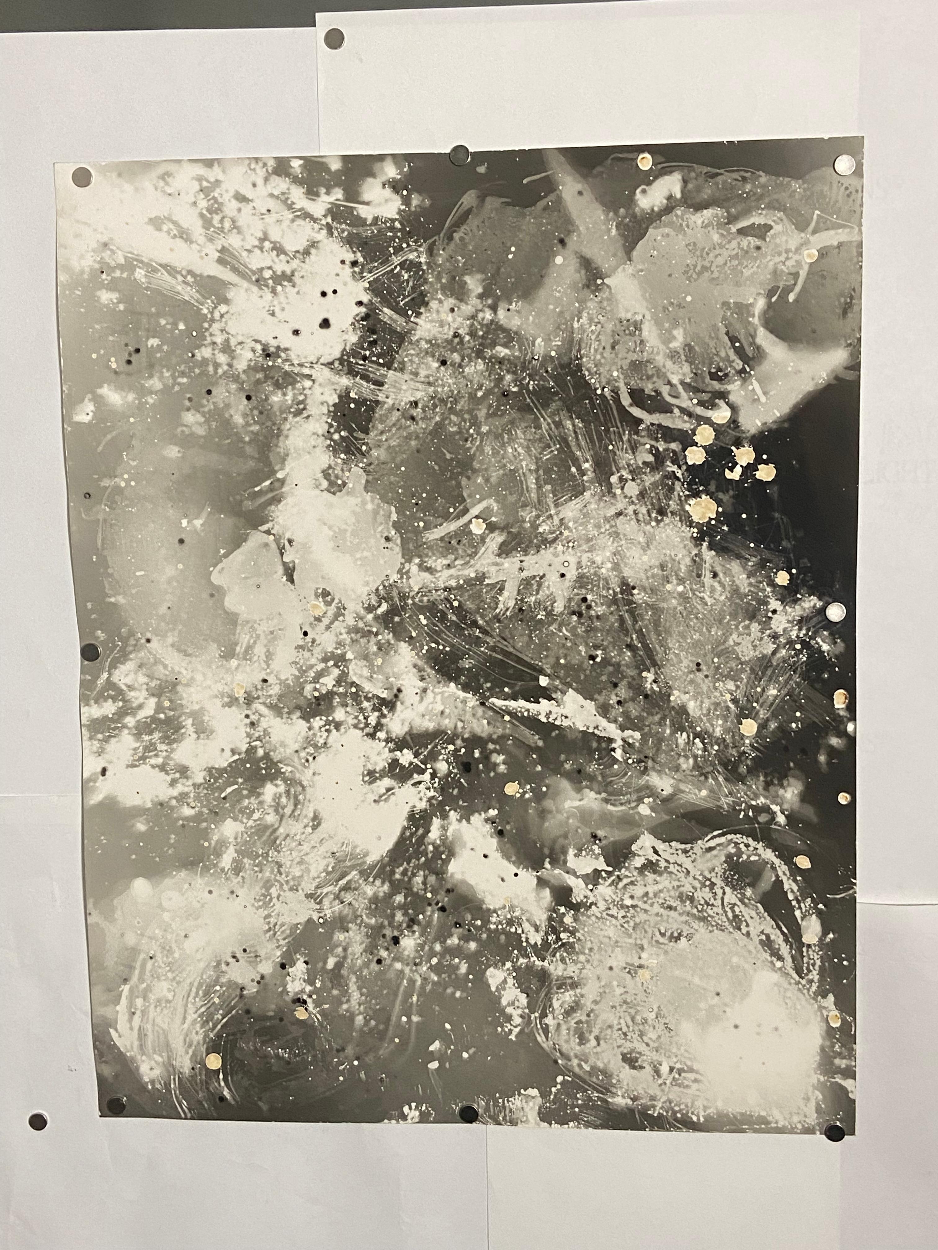 Kimberly Schneider Photography - Pollock- unique abstract black and ...